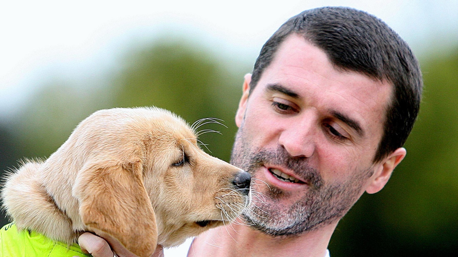 9 of football's favourite dogs feat. Win, Triggs, Pickles & more...