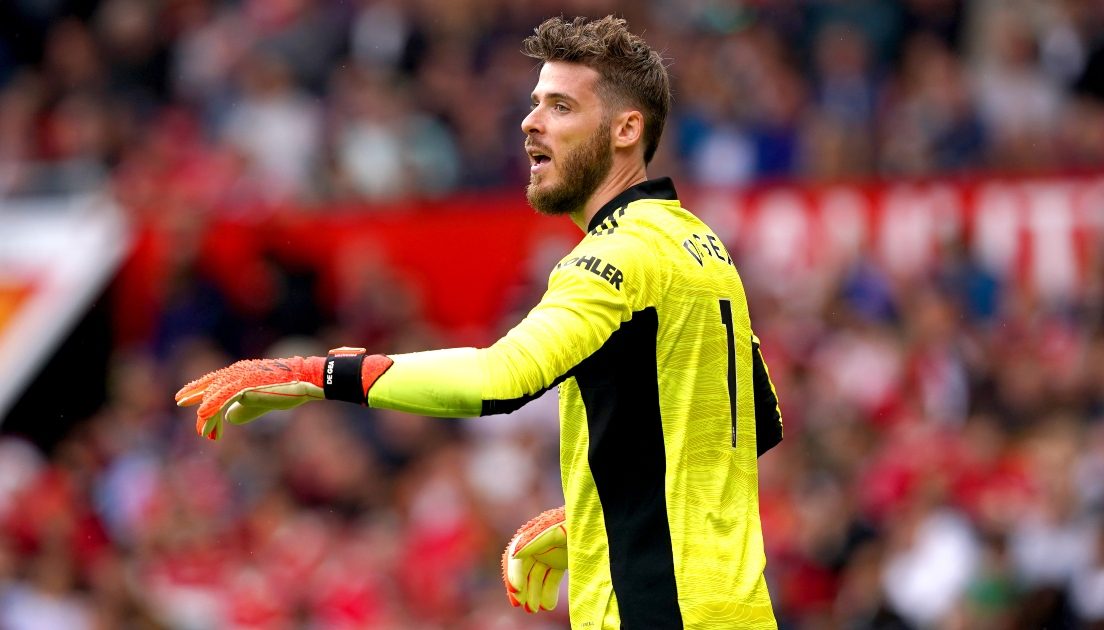 Watch: Man Utd's David de Gea denies Tielemans with flying save ...